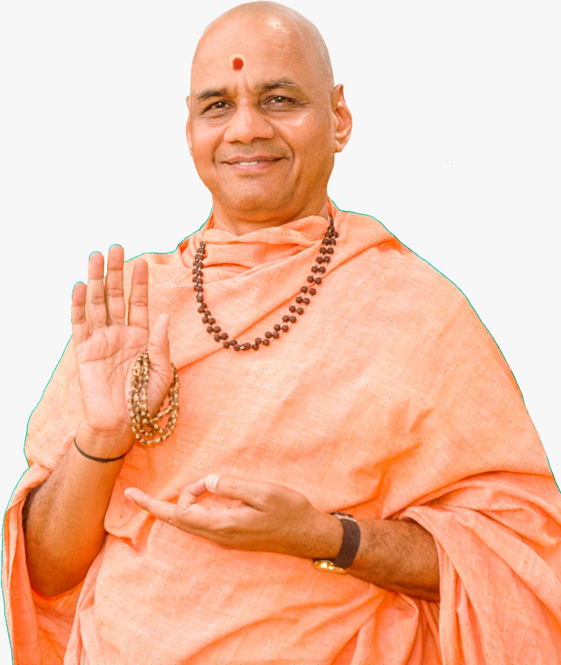 Sarsanghchalak Mohanji Bhagwat Commends Pujya Swami Shri Govind Dev ...