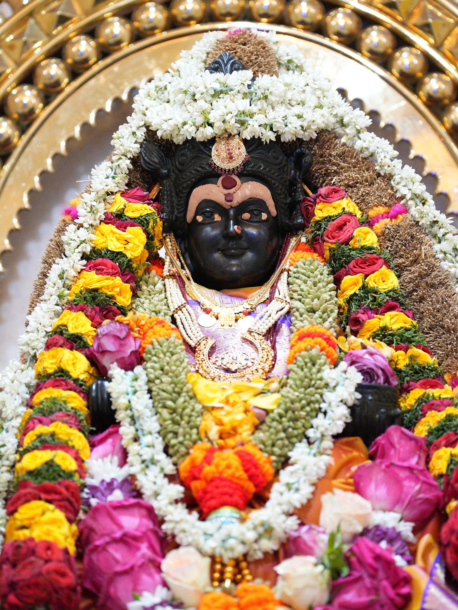 Grand Prana Pratishtha of Shri Chinmaya Annapoorna Devi Temple in South ...